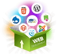 ERP Solution - E-Commerce - UI/UX Design - Icon Technology